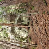Fragrance Lake Trail, Washington - 2,716 Reviews, Map | AllTrails