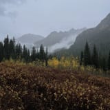 Lake Stuart Trail, Washington - 708 Reviews, Map | AllTrails