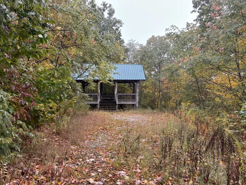 Best Hikes and Trails in Bald Mountain Creek Preserve | AllTrails