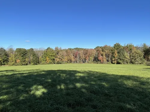 Best Hikes and Trails in George V Vanderbilt Town Park | AllTrails