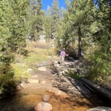 Chicken Spring Lake via Cottonwood Pass Trail, California - 434 Reviews ...