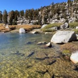 Chicken Spring Lake via Cottonwood Pass Trail, California - 434 Reviews ...