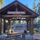 General Sherman Tree Trail, California - 2,623 Reviews, Map | AllTrails