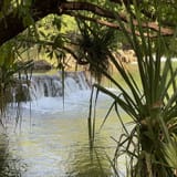 Mataranka Falls Track , Northern Territory, Australia - 43 Reviews, Map ...