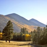 Lockett Meadow Inner Basin Loop, Arizona - 733 Reviews, Map | AllTrails