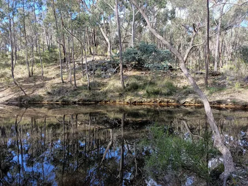 Best Hikes and Trails in Kalimna Park | AllTrails