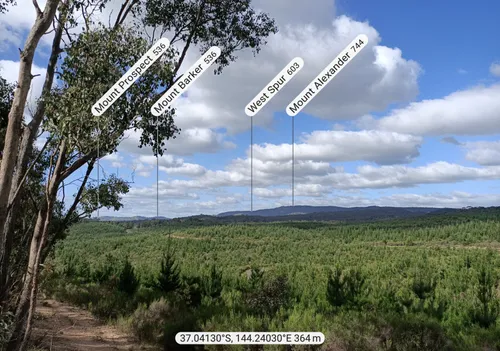 Best Hikes and Trails in Kalimna Park | AllTrails