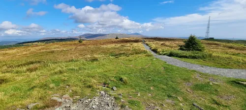 10 Best Forest Trails in Northern Ireland | AllTrails