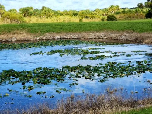 Best Hikes and Trails in Three Forks Conservation Area | AllTrails