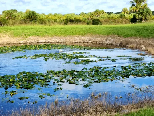 Best Hikes and Trails in Three Forks Conservation Area | AllTrails