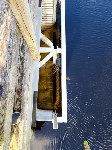 Best Hikes and Trails in Three Forks Conservation Area | AllTrails