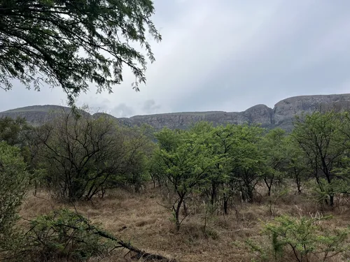 Los mejores senderos y rutas en Vergenoeg Nature Reserve | AllTrails