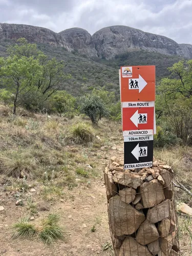 Los mejores senderos y rutas en Vergenoeg Nature Reserve | AllTrails