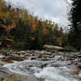 Franconia Falls Trail, New Hampshire - 1,535 Reviews, Map | AllTrails