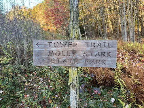 Best Hikes and Trails in Molly Stark State Park | AllTrails