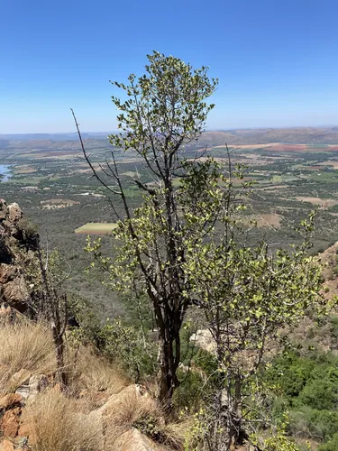 Los mejores senderos y rutas en Vergenoeg Nature Reserve | AllTrails