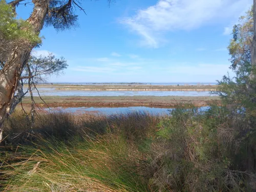 Best Hikes and Trails in Len Howard Conservation Park | AllTrails