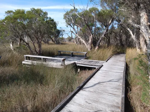 Best Hikes and Trails in Len Howard Conservation Park | AllTrails