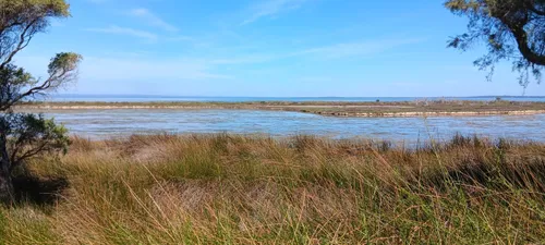 Best Hikes and Trails in Len Howard Conservation Park | AllTrails