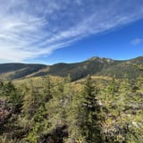 Mount Chocorua Loop Trail, New Hampshire - 1,215 Reviews, Map | AllTrails