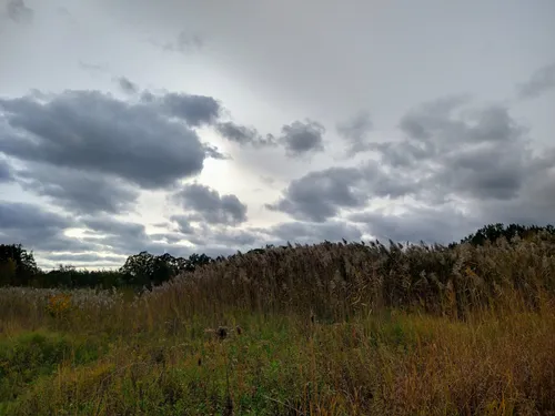 Best Hikes and Trails in Van Raalte Farm Park | AllTrails