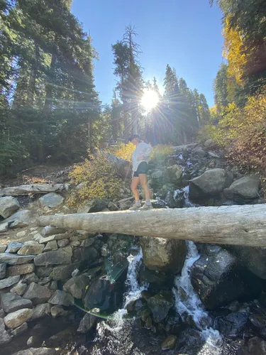 2023 Best Bird Watching Trails in Owens River Headwaters Wilderness ...