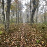 Hemphill Bald Trail, North Carolina - 352 Reviews, Map | AllTrails