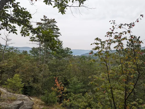 2023 Best Wild Flowers Trails in Hebron | AllTrails 2023 Best Wild Flowers Trails in Hebron | AllTrails