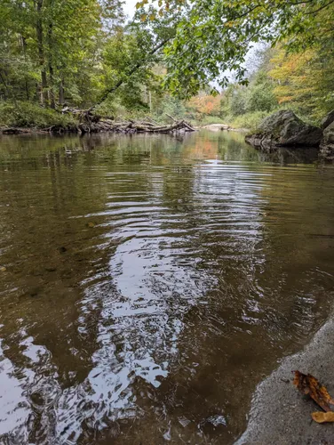 2023 Best Wild Flowers Trails in Hebron | AllTrails 2023 Best Wild Flowers Trails in Hebron | AllTrails