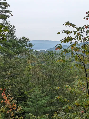 2023 Best Wild Flowers Trails in Hebron | AllTrails 2023 Best Wild Flowers Trails in Hebron | AllTrails