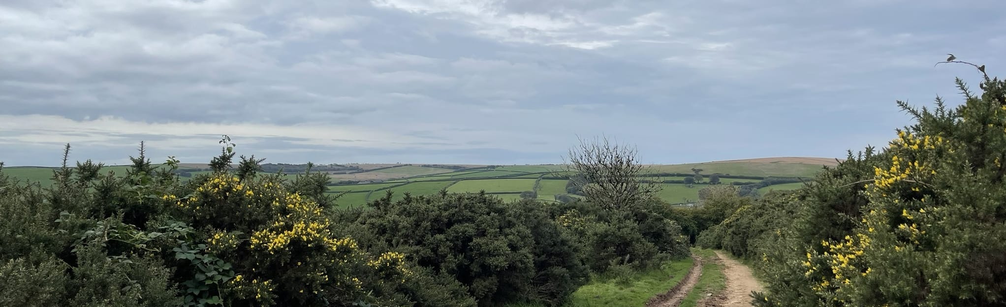 Tarr Steps and Watery Lane Loop, Devon, England - 47 Reviews, Map ...