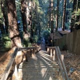 Dipsea Trail from Mill Valley Trailhead, California - 1,912 Reviews ...