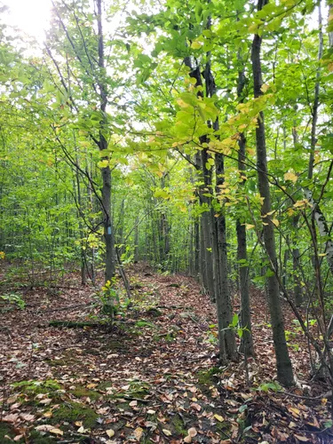 Best Hikes and Trails in Howard Hill Conservation Area | AllTrails
