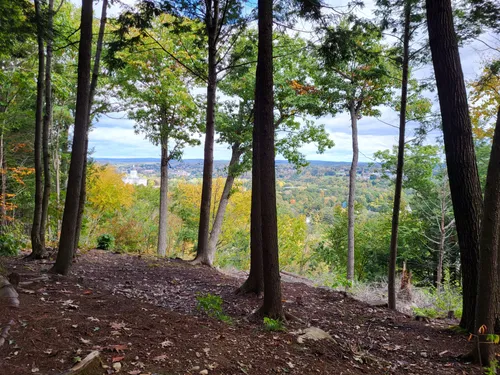 Best Hikes and Trails in Howard Hill Conservation Area | AllTrails