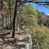 Fiery Gizzard Loop, Tennessee - 1,039 Reviews, Map | AllTrails