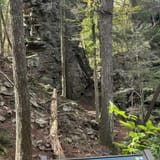 Fiery Gizzard Loop, Tennessee - 1,039 Reviews, Map | AllTrails