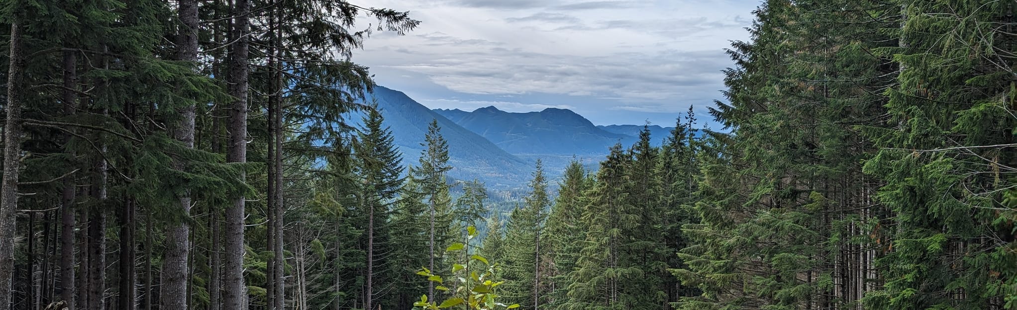 Three Lake Overlook, Washington - 95 Reviews, Map | AllTrails