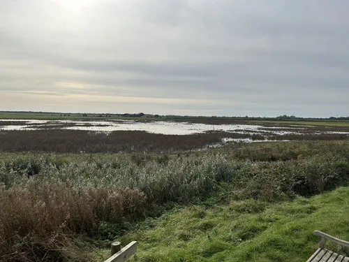 Best Hikes and Trails in Frampton Marsh Nature Reserve | AllTrails