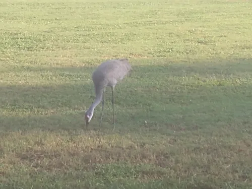 Best Hikes and Trails in Channel Park | AllTrails