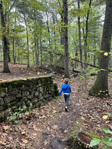 Best Hikes and Trails in Sally Milligan Park | AllTrails