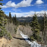 Spruce Creek Loop, Colorado - 1,579 Reviews, Map | AllTrails