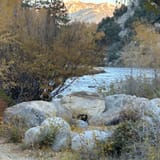 Turret Trail, Colorado - 421 Reviews, Map | AllTrails