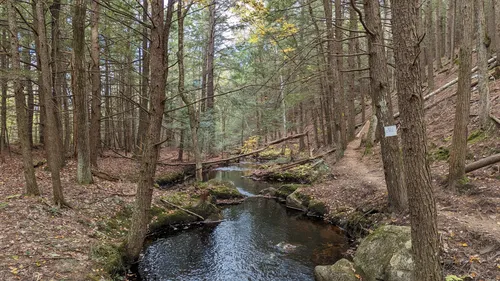 10 Best Hikes and Trails in Bear Brook State Park | AllTrails