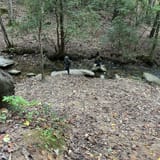 Long Branch Loop Trail, Georgia - 2,021 Reviews, Map | AllTrails