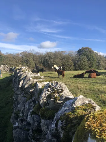 2023 Best Pub Walks in Grange-over-Sands | AllTrails