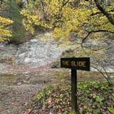 Pine Hills Nature Preserve Trail, Indiana - 879 Reviews, Map | AllTrails