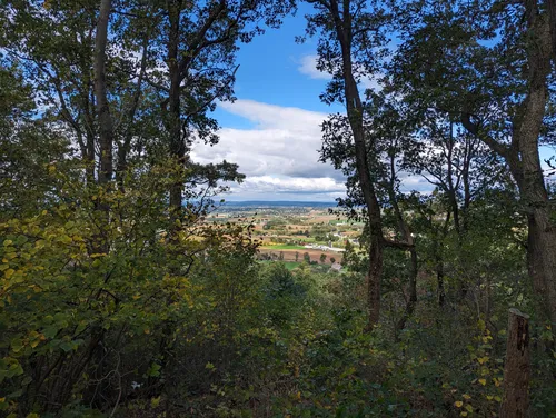 Best Hikes and Trails in Money Rocks County Park | AllTrails