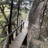 Jordan Cliffs Loop, Maine - 373 Reviews, Map | AllTrails