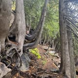 Jordan Cliffs Loop, Maine - 376 Reviews, Map | AllTrails