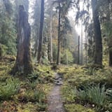 Enchanted Valley Chalet via East Fork Quinault River Trail, Washington ...